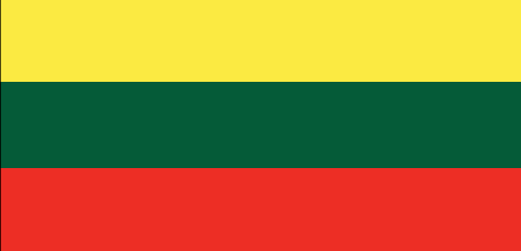 Buy Lithuania Flag Online | Premium Quality Lithuania Flag| Fast Shipping & Great Prices ...